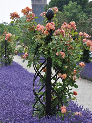 High-quality Garden Obelisks & Rose Pillars ~ Classic Garden Elements