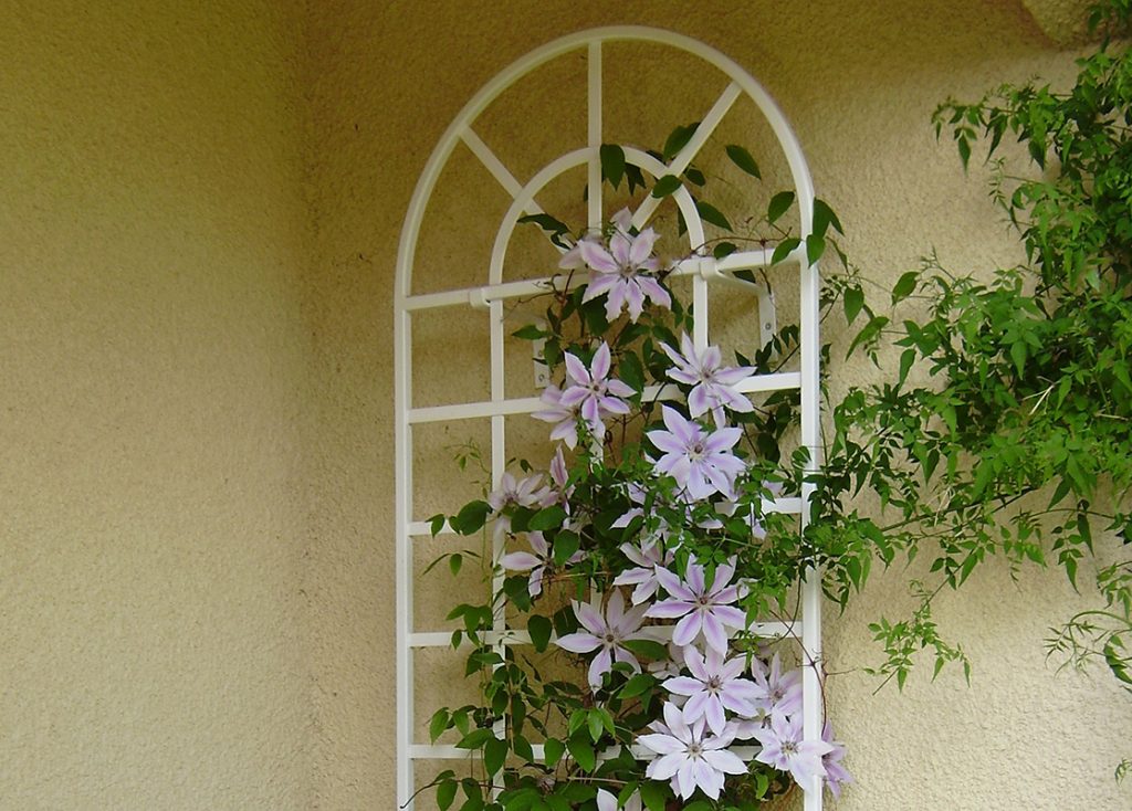 Round-Top Wall Trellis. Made from galvanised & powder coated steel.