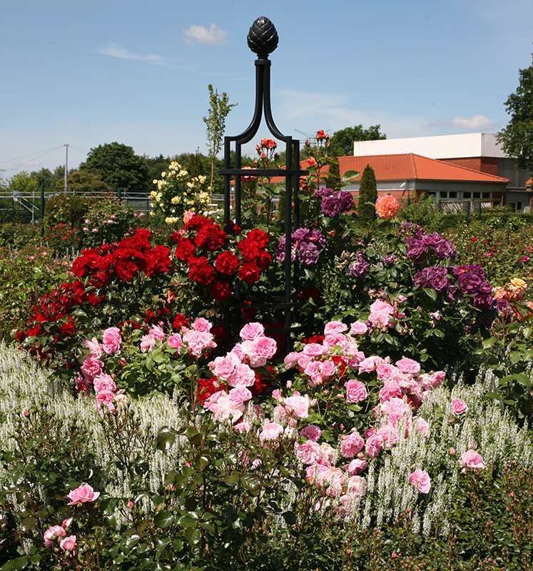 Order robust metal obelisks online ~ Classic Garden Elements UK