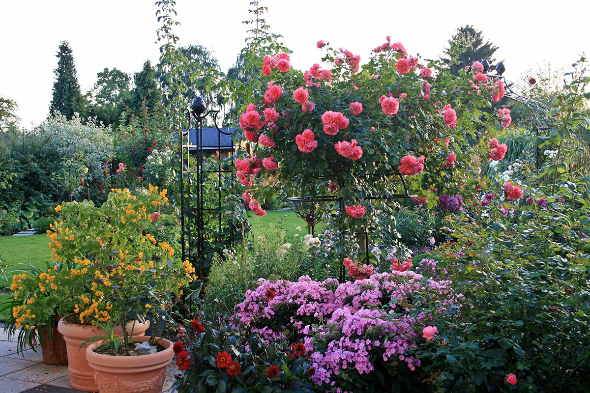 High quality Rose Obelisk buy on Classic Garden Elements UK