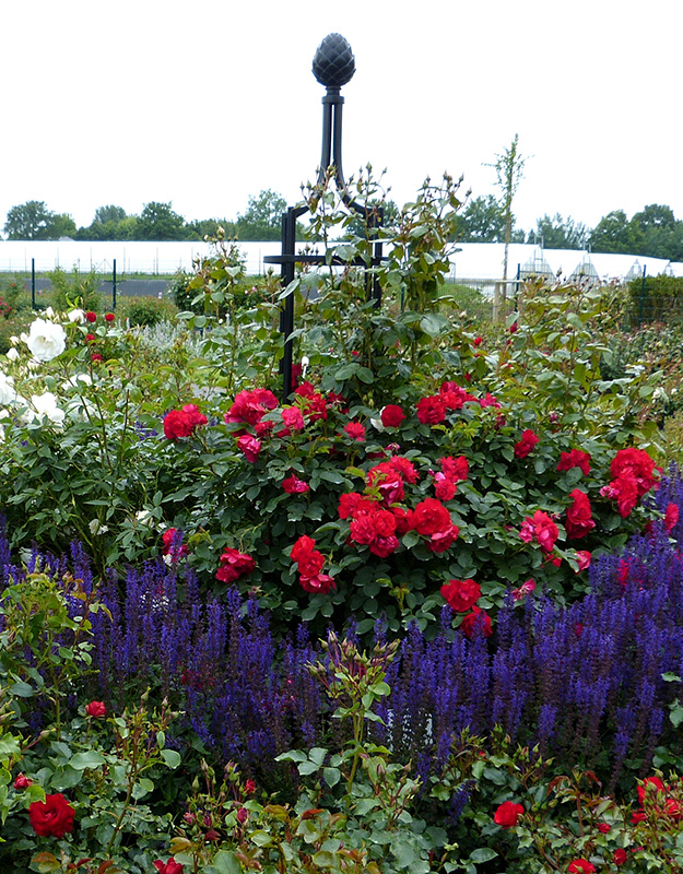 Order robust metal obelisks online ~ Classic Garden Elements UK