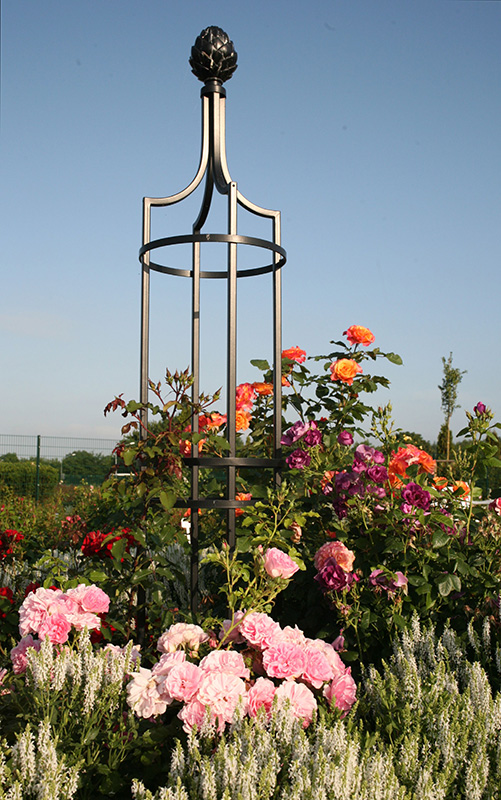 Obelisk Trellis For Climbing Rose at Gilberto Mccord blog