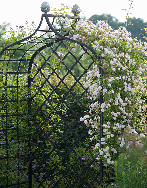 Victorian Rose Arbour ~ Classic Garden Elements UK