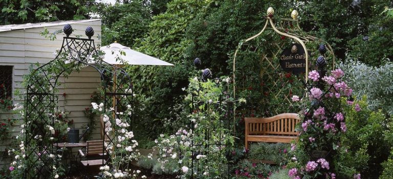 Tips on choosing the best supports for your roses: shrubs, climbers ...