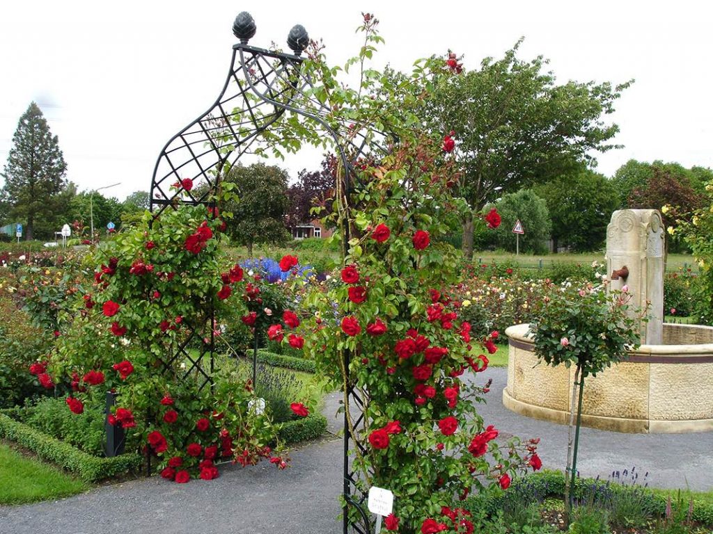 Material Garden Rose Arch - How To Make a Rose Arch