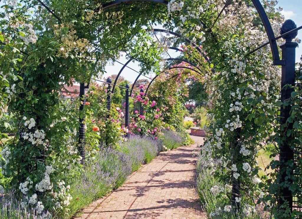 Classic Garden Elements: A household name for luxurious metal garden ...