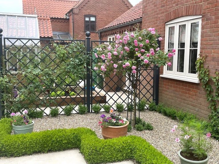 'Giverny' Rose Umbrella: Solid metal support for Weeping Standard Roses