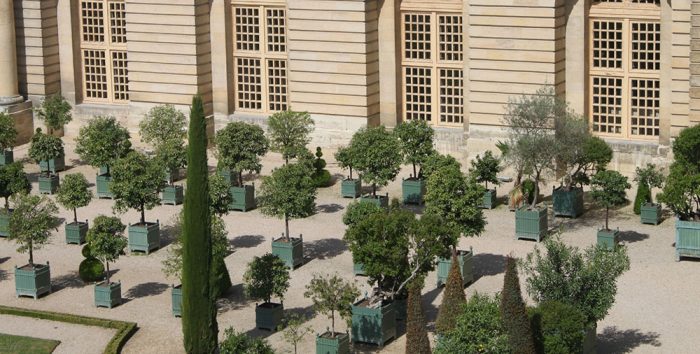 Versailles Planter. Luxurious, perfect remake of the original, made of ...