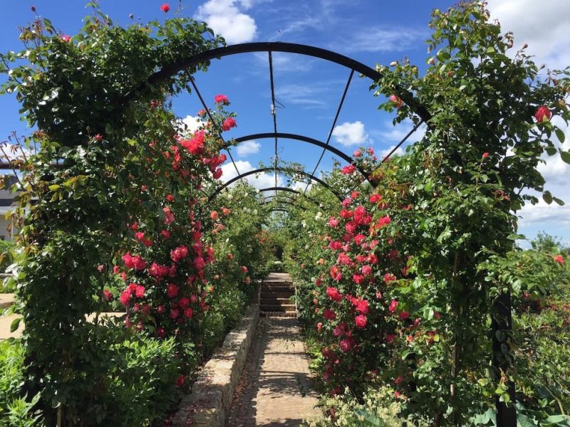 Metal Archways for Gardens of Any Size - Metal Arcades and Greenery