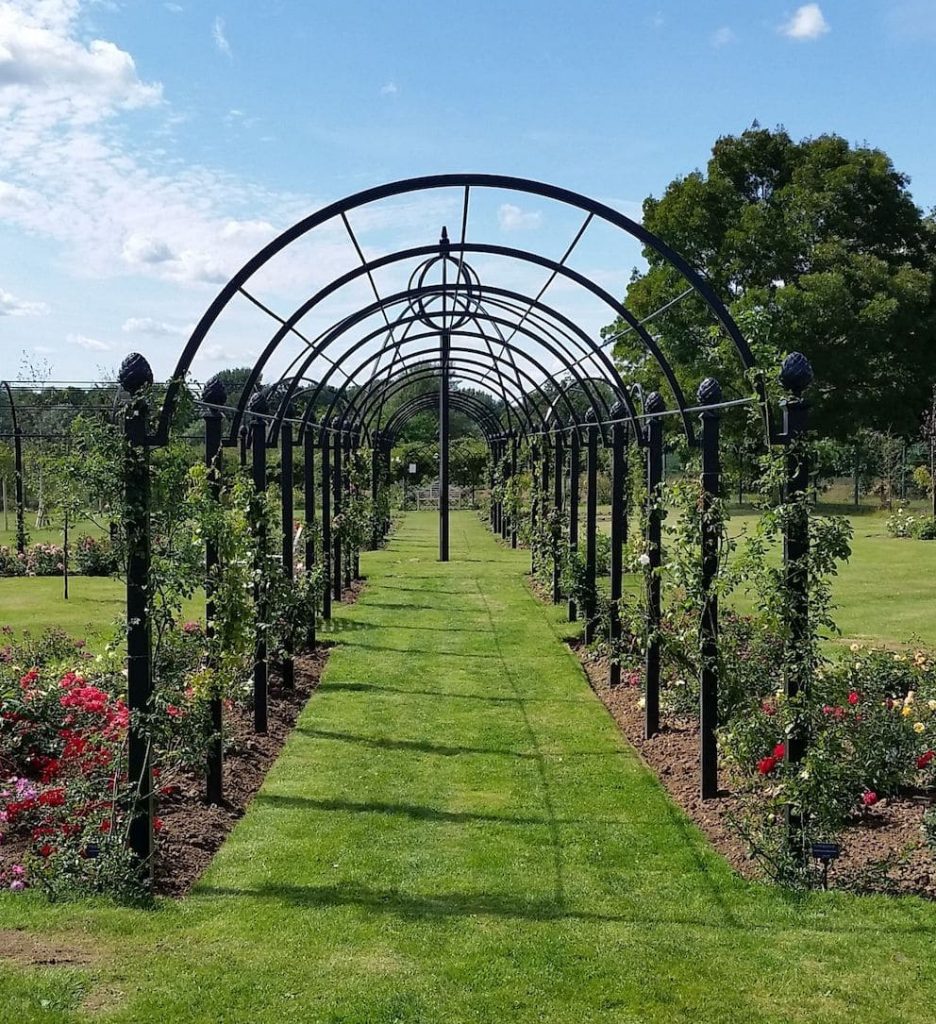Metal Archways for Gardens of Any Size - Metal Arcades and Greenery