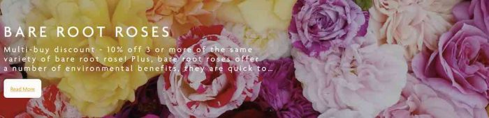 Peter Beales Roses - Classic Garden Elements UK - Metal Garden Arches