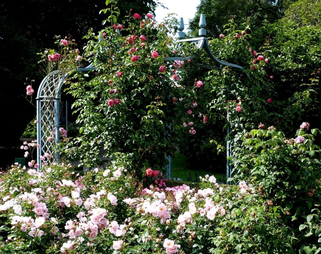 Brighton Victorian Rose Arch. Made of galvanised & powder coated steel.